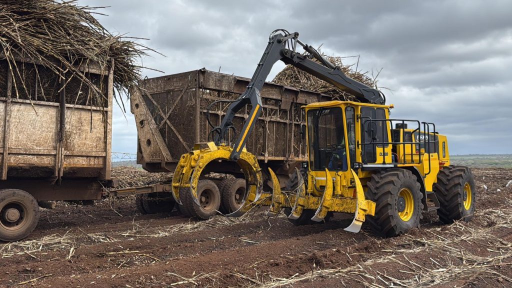 DL98C 4x4 CANE SLEW LOADER - Dezzi Equipment